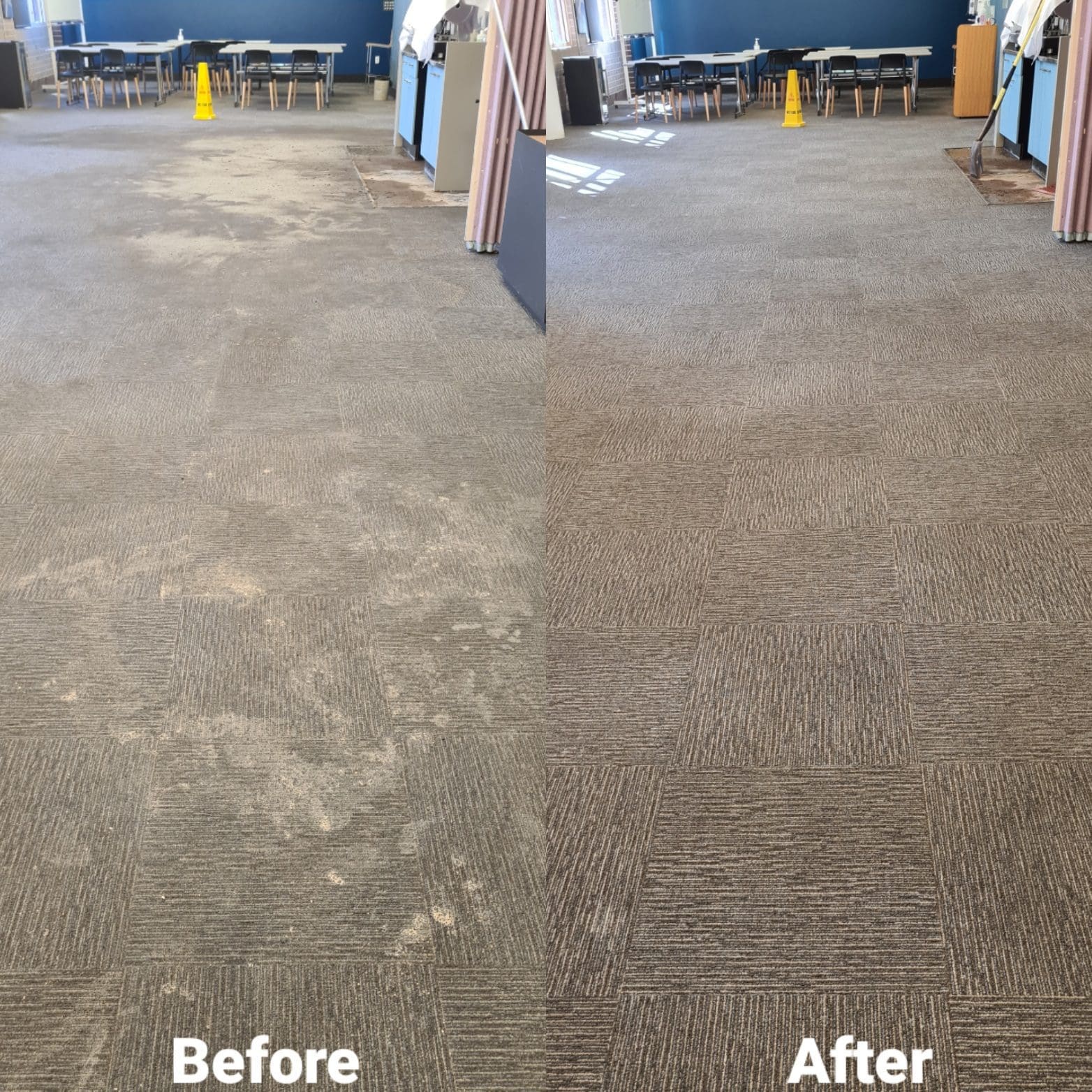 Water Extraction | Neo Carpet Cleaning | The Clean Choice